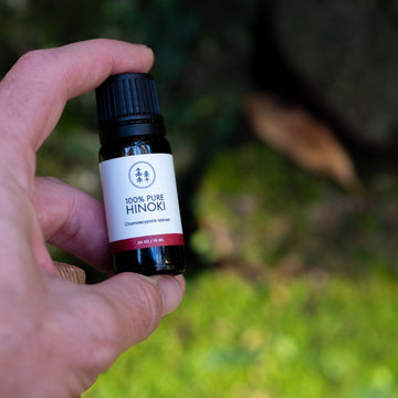 Hinoki Oil for Calm & Sleep | 100% Pure from Japan | theo & amelia